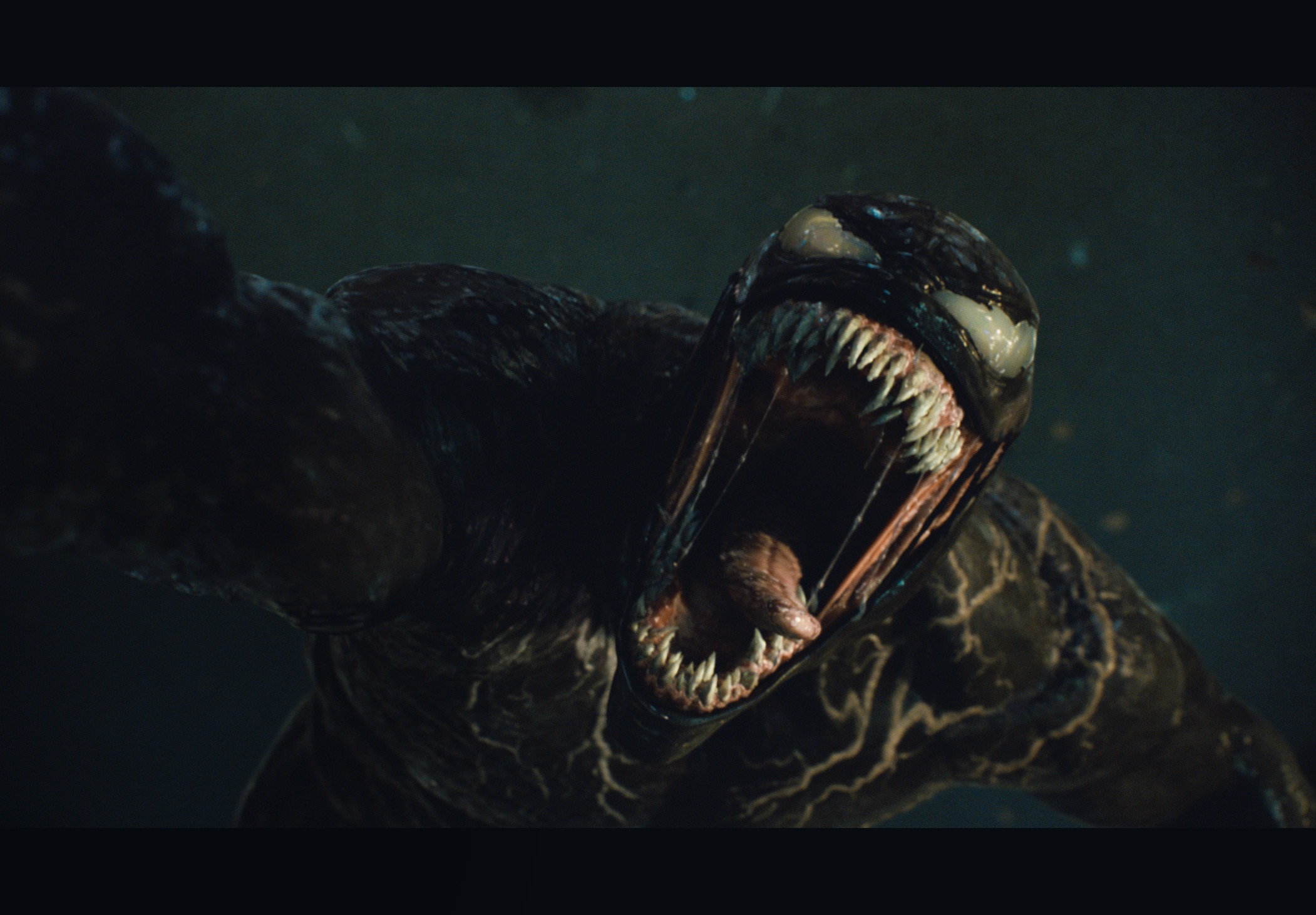 Venom: Let there Be Carnage – 21 oktober in de Nederlandse bioscoop ...